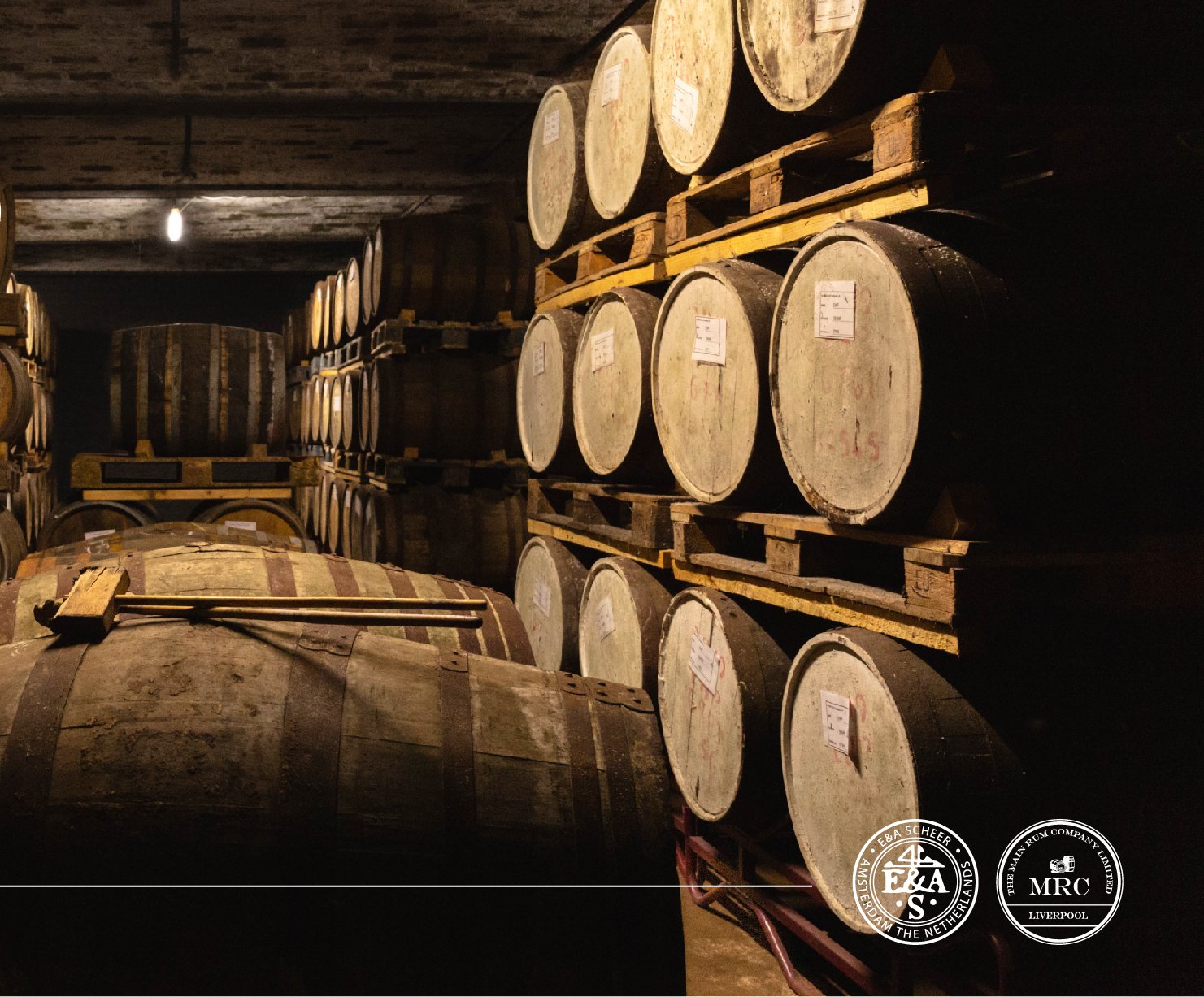 Global Trends in the Rum Drinks Market