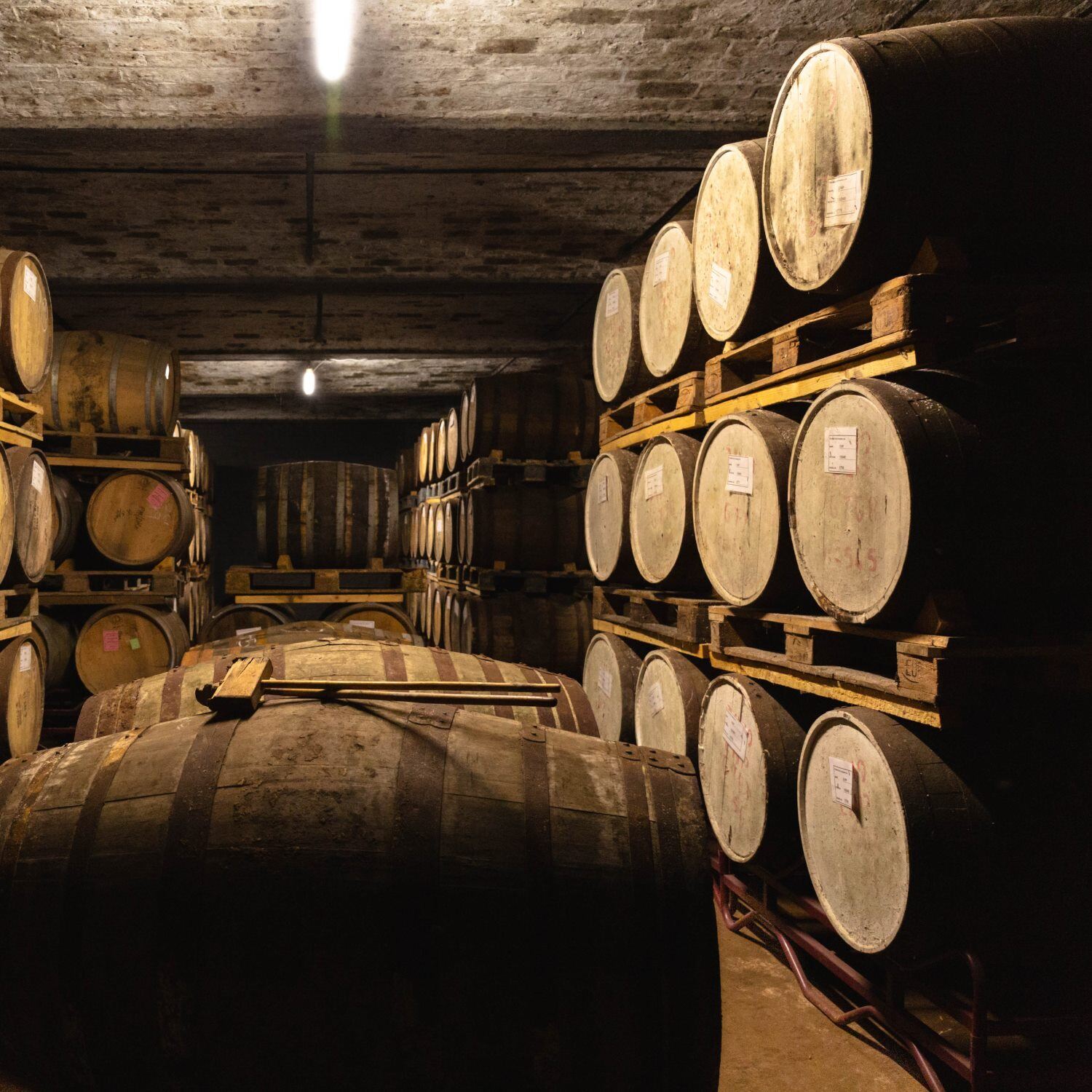 Global Trends in the Rum Drinks Market